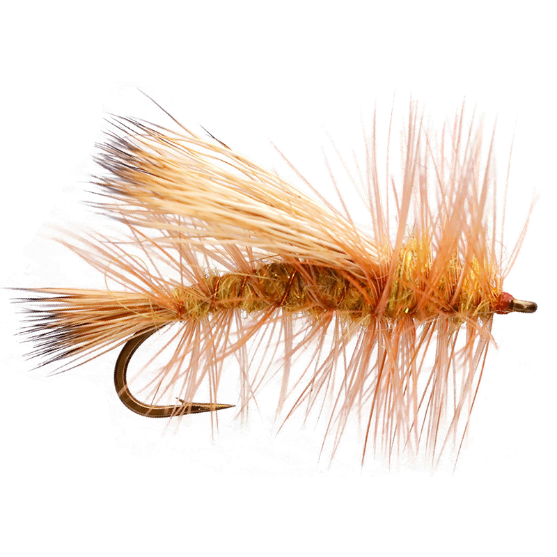 Adult Golden Stone – Smitty's Fly Box