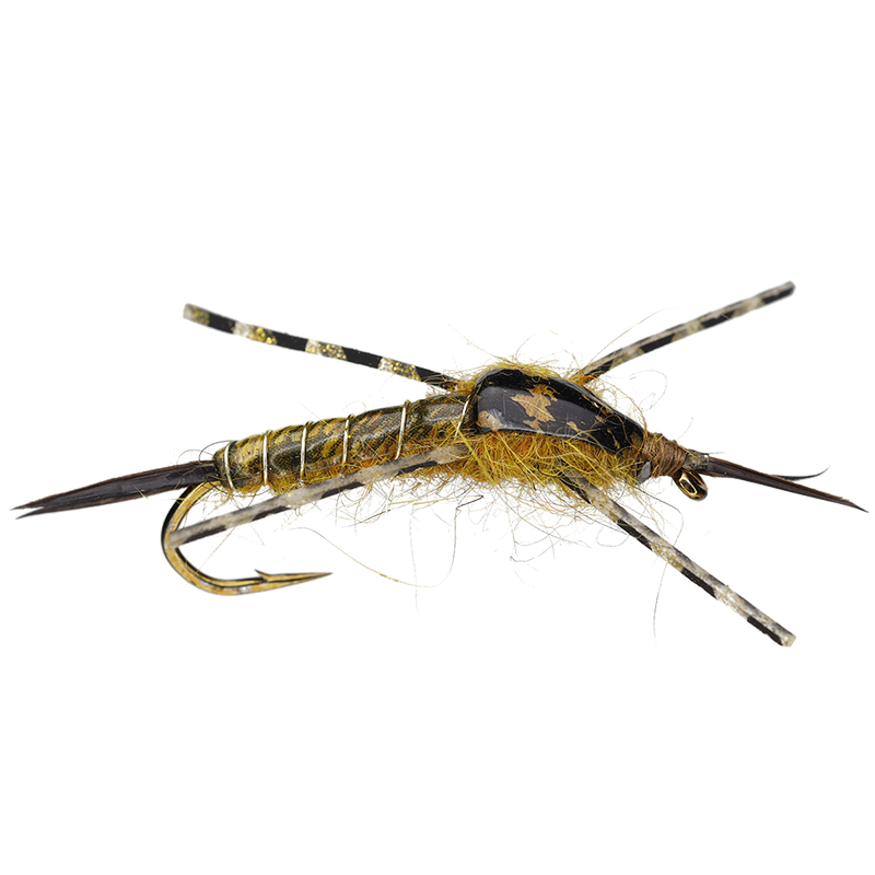 Stonefly Nymph – Smitty's Fly Box
