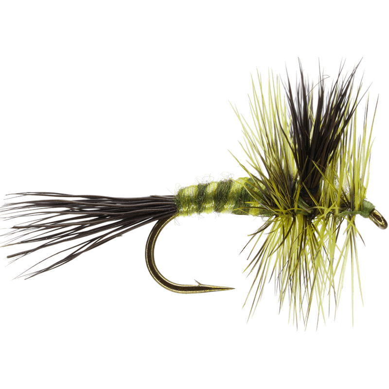 Green Drake Wulff – Smitty's Fly Box