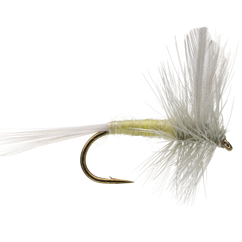 Pale Morning Dun – Smitty's Fly Box