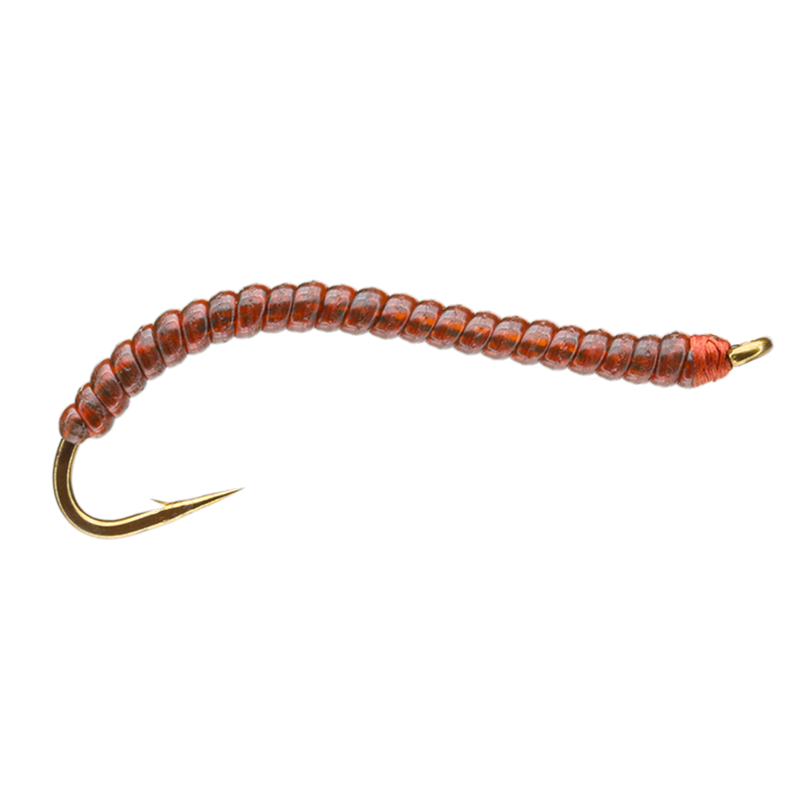 Larva Lace Worm – Smitty's Fly Box