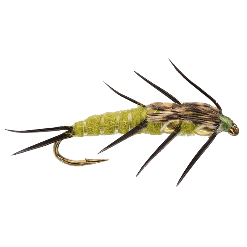 Double Bead Stonefly – Smitty's Fly Box